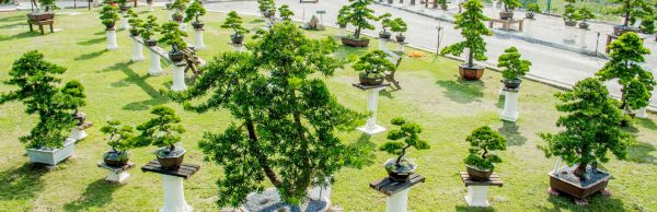 Landscape Design - UA Bonsai - Malaysia Garden Landscape Design ...
